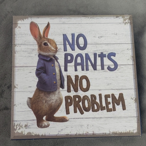 Accents | Peter Rabbit Easter No Pants No Problem Decor | Poshmark